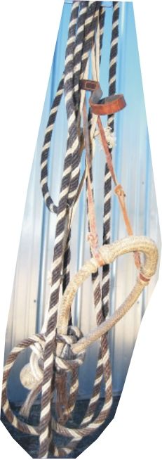 good hackamore bridle with fiador and mane hair mecarte 5/8" bosal