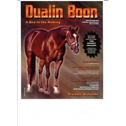 DUALIN BOON - AQHA Stallion