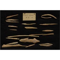 Collection of Twenty One Carved Bone Needle and Harpoon Artifacts From ...