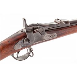 Springfield Model 1884 Trapdoor Rifle