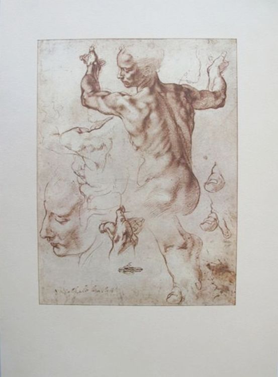 MICHELANGELO 1970 FACSIMILE SIGNED LITHOGRAPH "STUDIES FOR THE LIBYAN ...