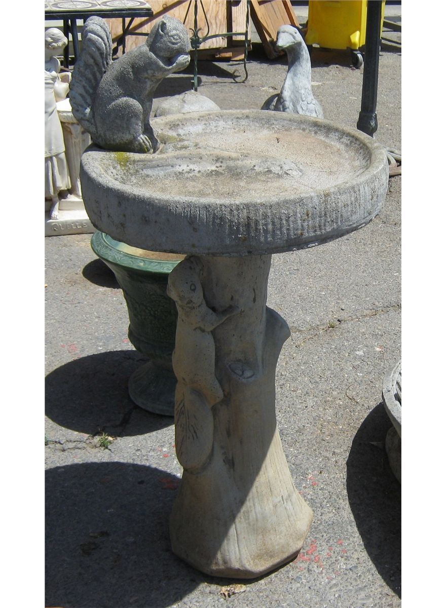 Squirrel Bird Bath
