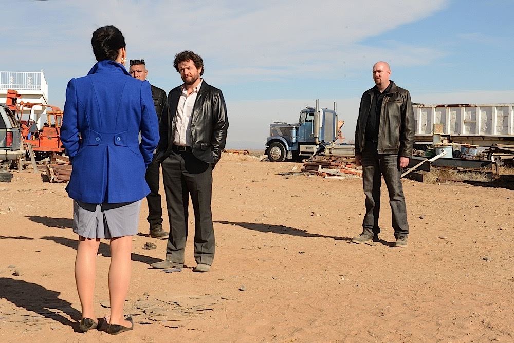 Breaking Bad (TV) - Lydia's Pumps (Laura Fraser)