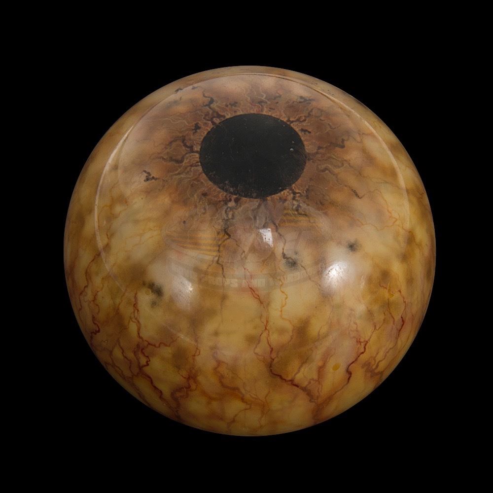 Jurassic Park - Brachiosaurus Eye