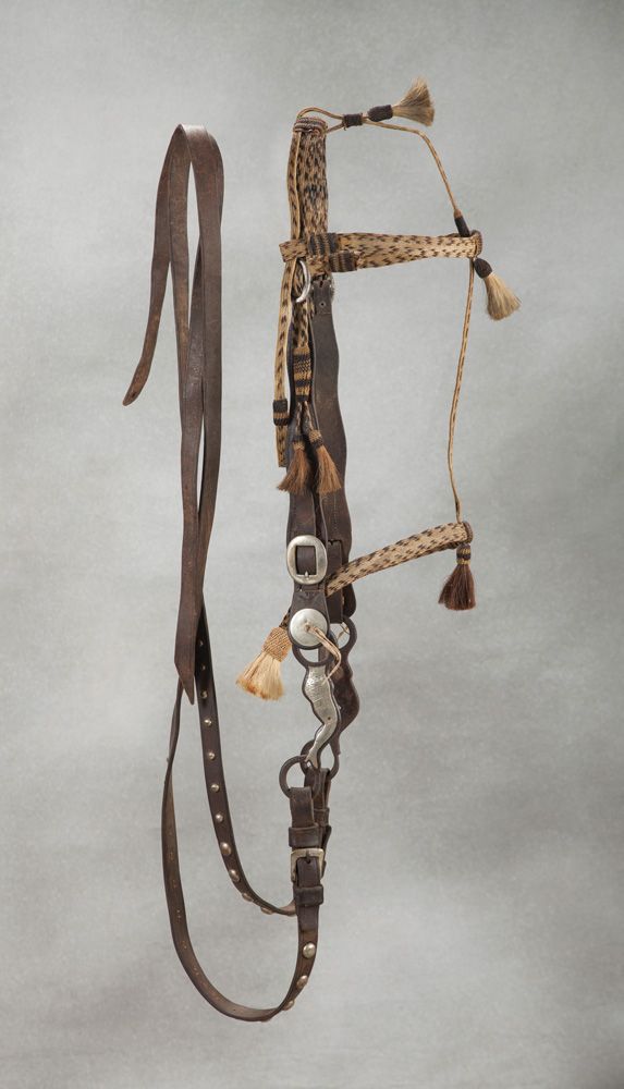 Canon City Prison Headstall & Bit