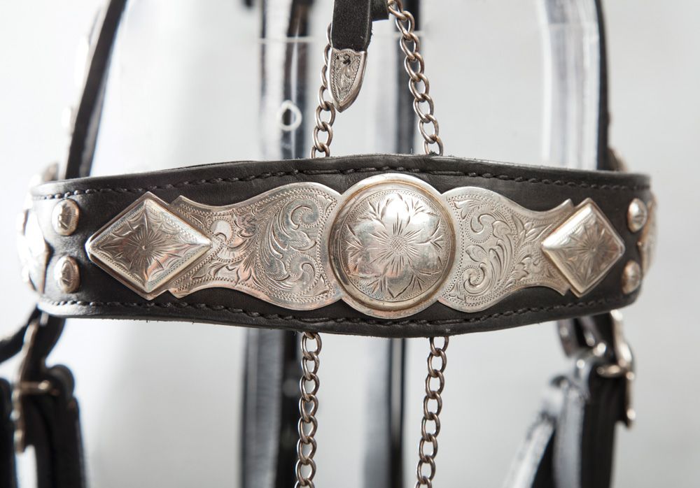 Edward H. Bohlin Bridle with Bohlin Bit