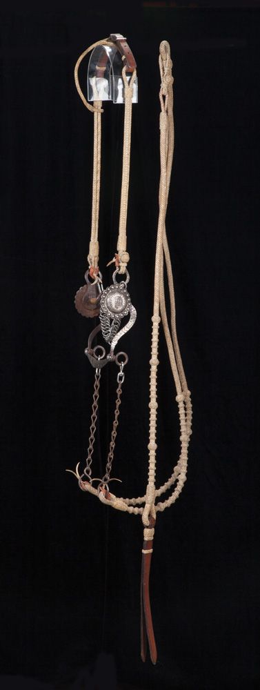Braided Rawhide Bridle with Fancy Bit
