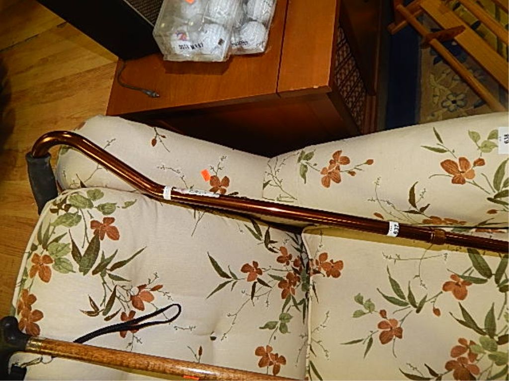 METAL CANE