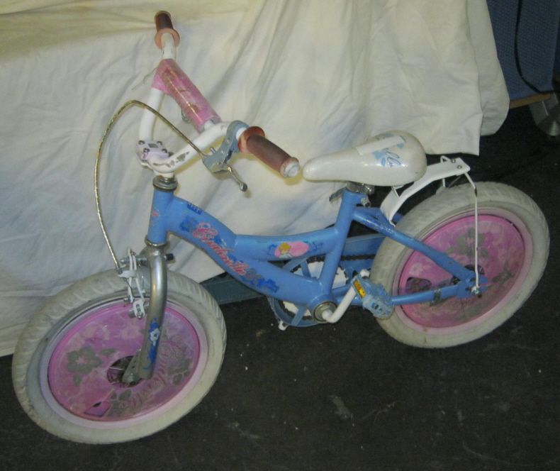 Blue/Pink Cinderella Little Girls Bike.