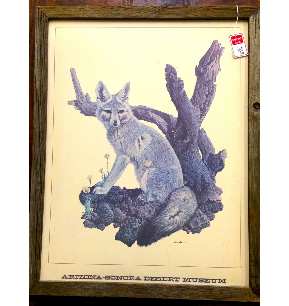 Nick Wilson, Arizona Sonoran Desert Museum print