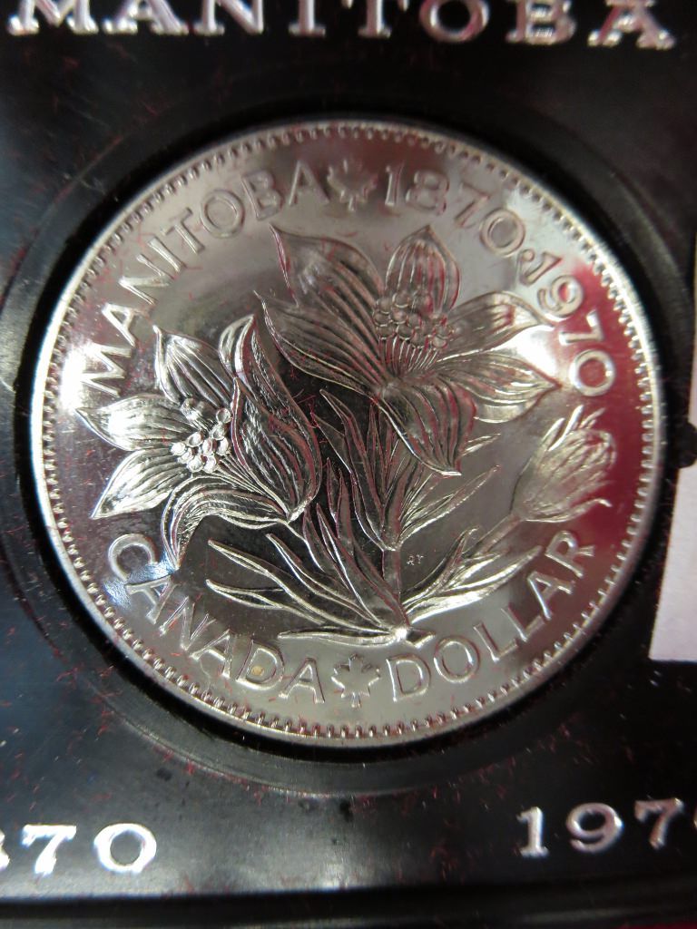 1970 Proof Silver Dollar w/ Case