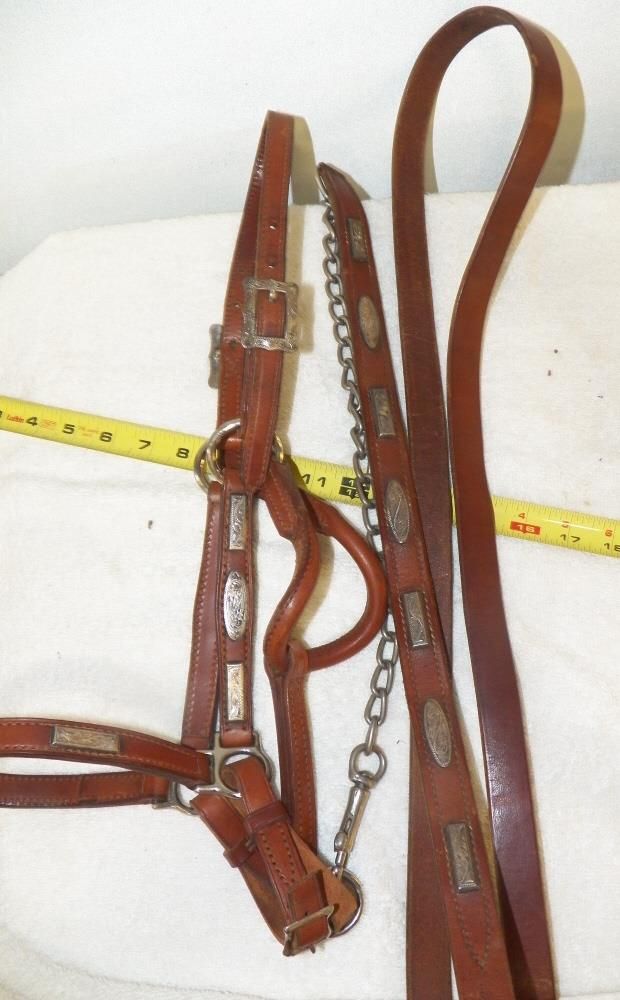 Silver Show Halter Victory Quality Silver Show Halter with Matching ...