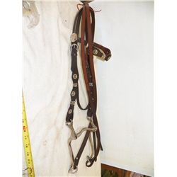 New Leather Bridle Long Shank Bit on a New Leather Headstall with Conchos