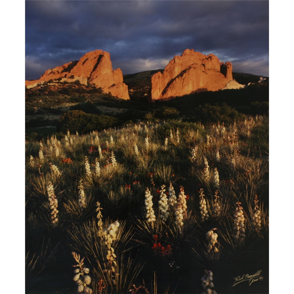 Rich Buzzelli (Colorado), Photograph