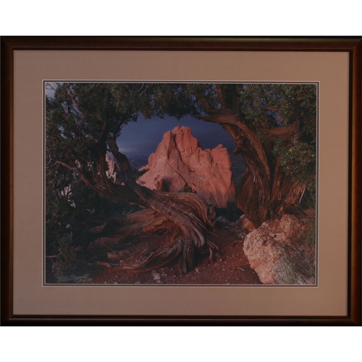 Rich Buzzelli (Colorado), Photograph