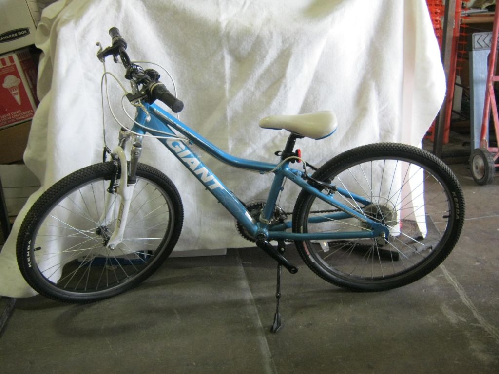 Girls Blue Trek Bike