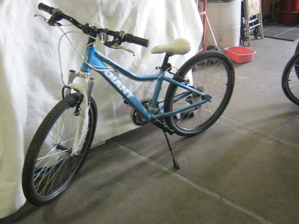 Girls Blue Trek Bike