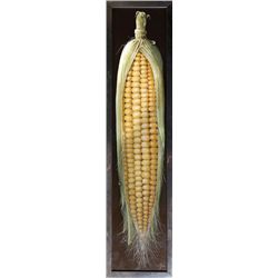 A. Lester Gaba, Corn, Oil Painting