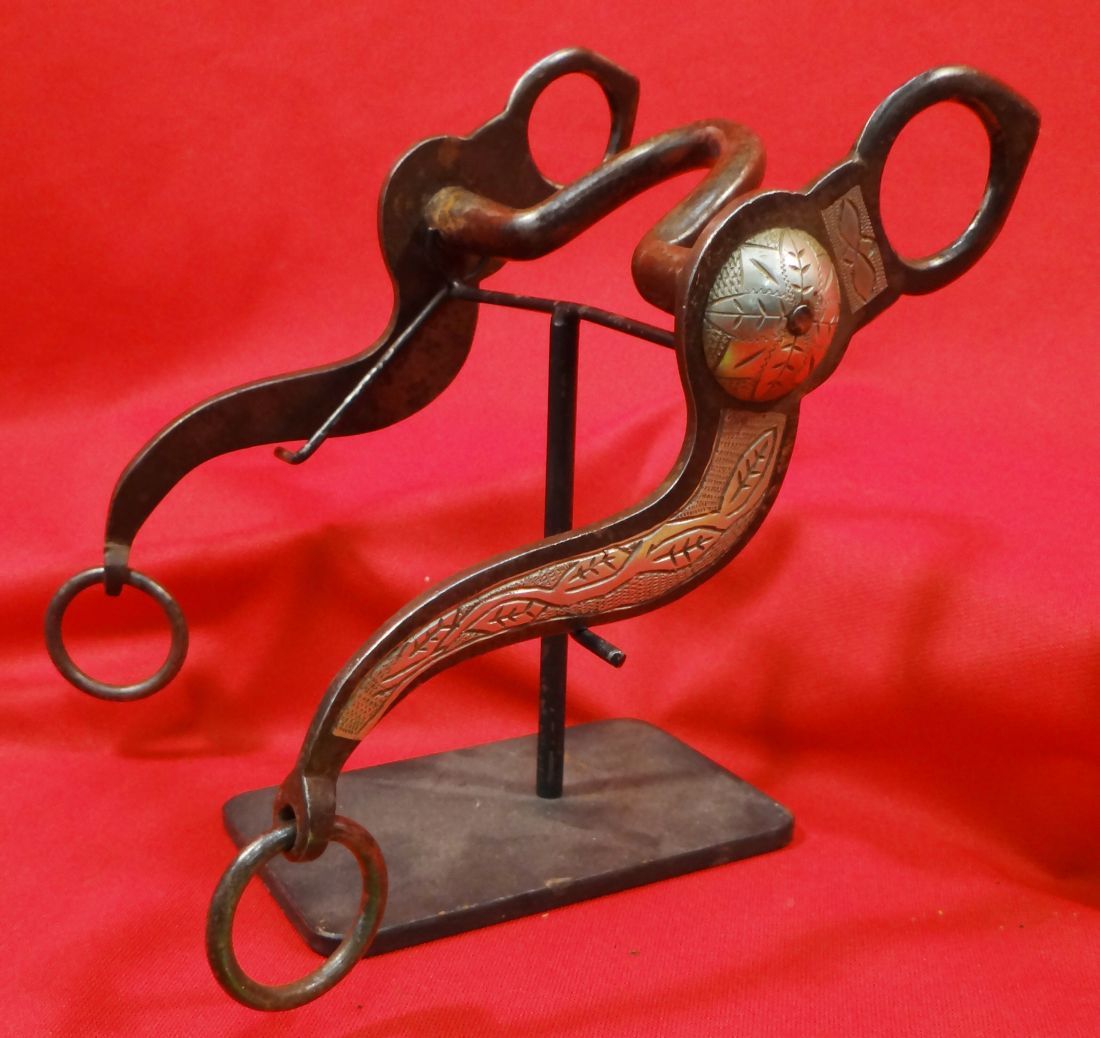 Canon city prison bit