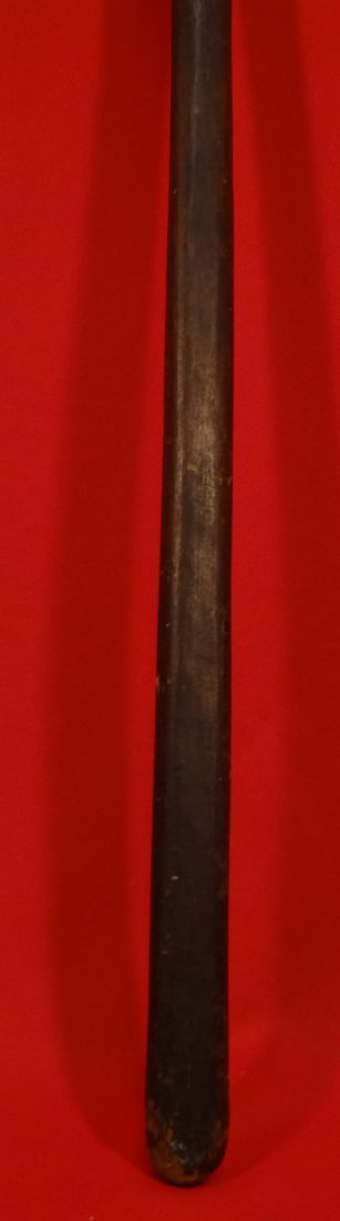 Medicine man staff w/ good medicine symbol and lizard, old