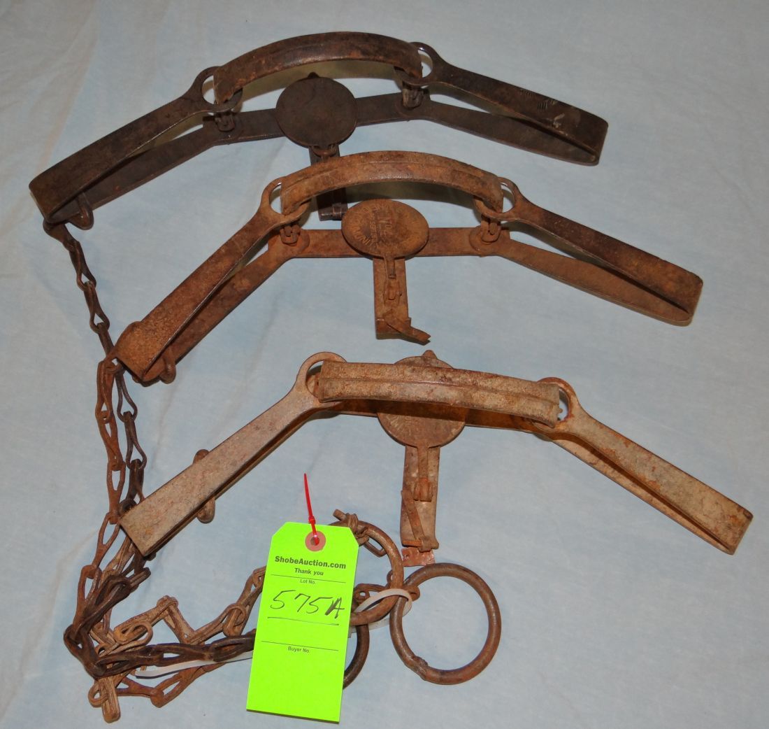 3 S. Newhouse #4 traps, complete