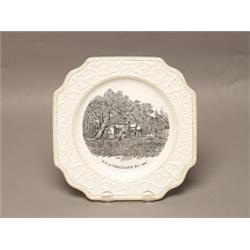 Rare Crown Devon Souvenir Plate