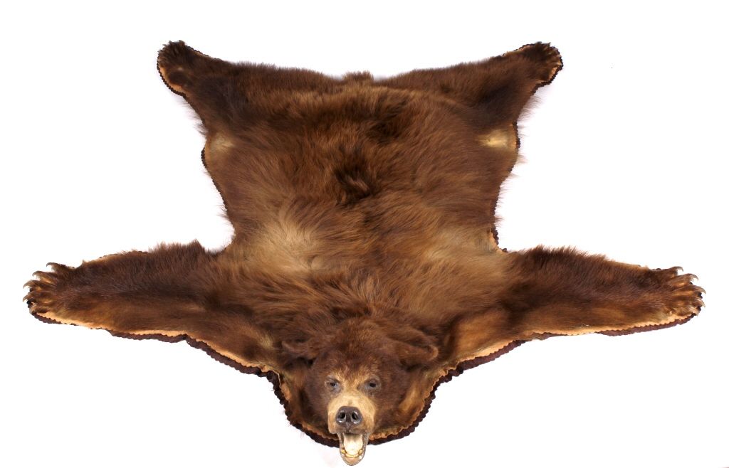 Montana Cinnamon Black Bear Rug