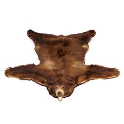 Montana Cinnamon Black Bear Rug