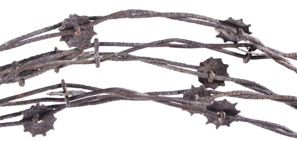 Hodge's "Spur Rowel" Barbed Wire circa 1887 The lo