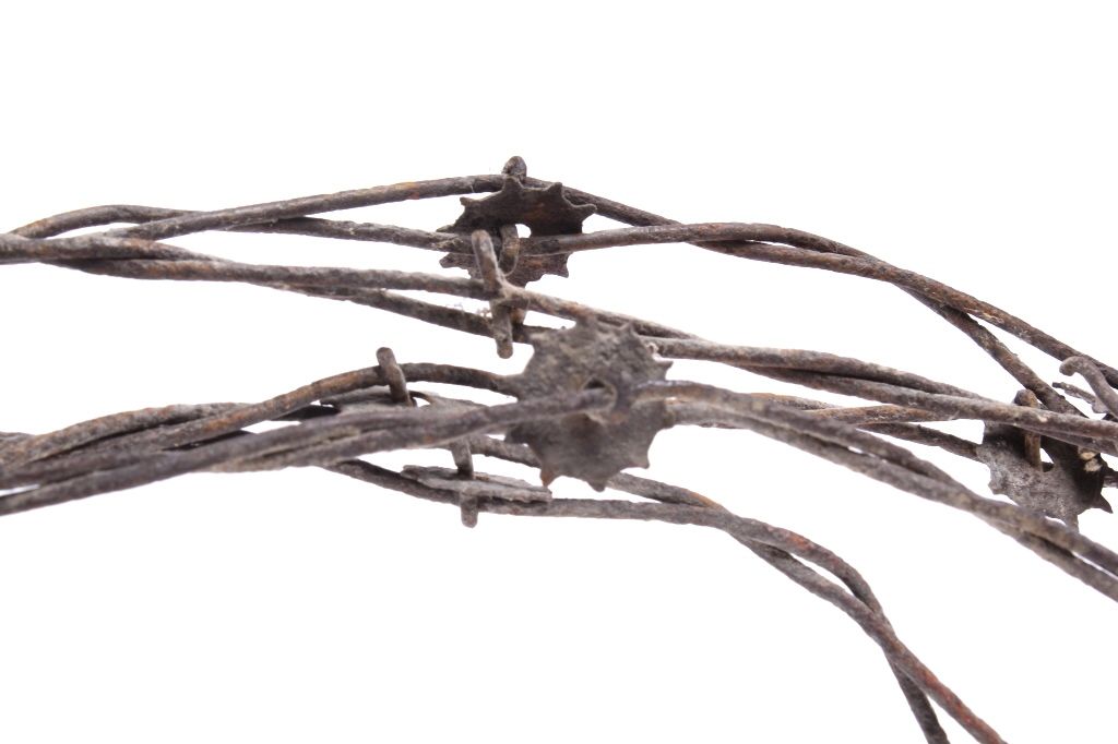Hodge's "Spur Rowel" Barbed Wire circa 1887 The lo