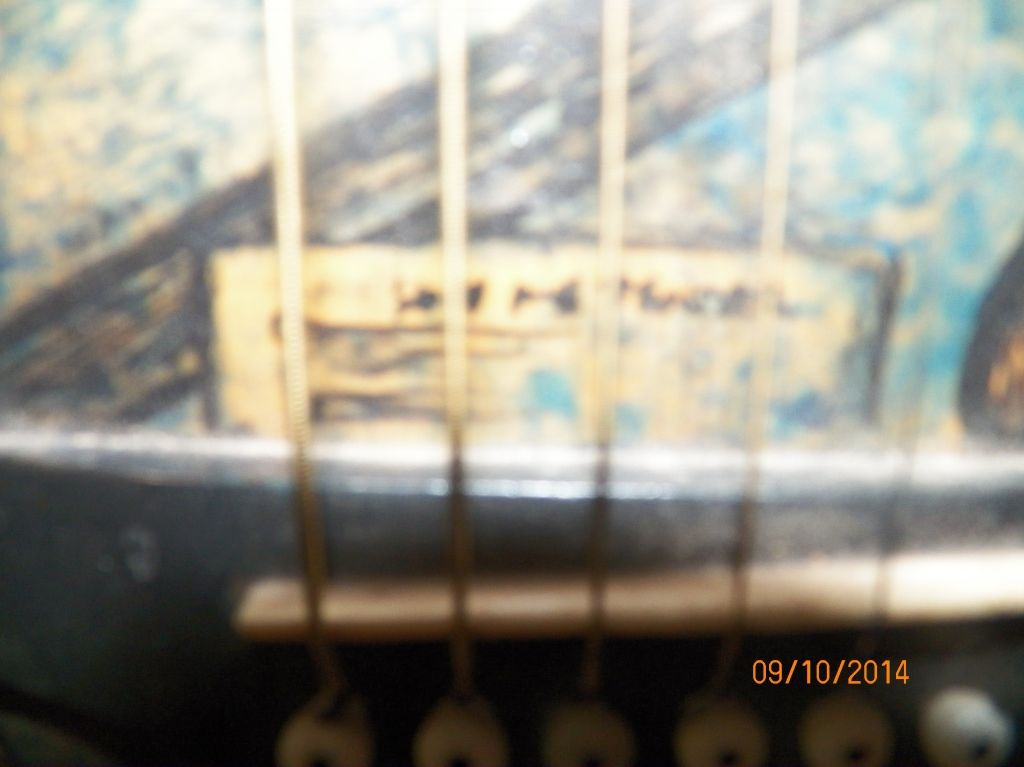 Esteban Acoustic Guitar Hand Painted Esteban Guitar (Elvis Tribute ...