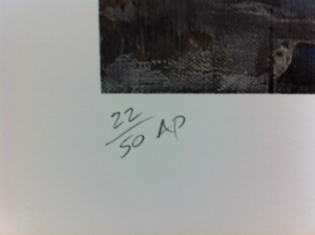 Silver Feathers, signed & numbered by Paul Van Ginkel