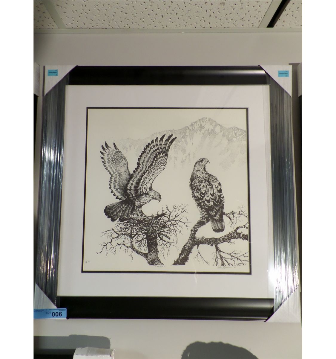 DELVIS MORRISON - FREEDOM #45/300 1991