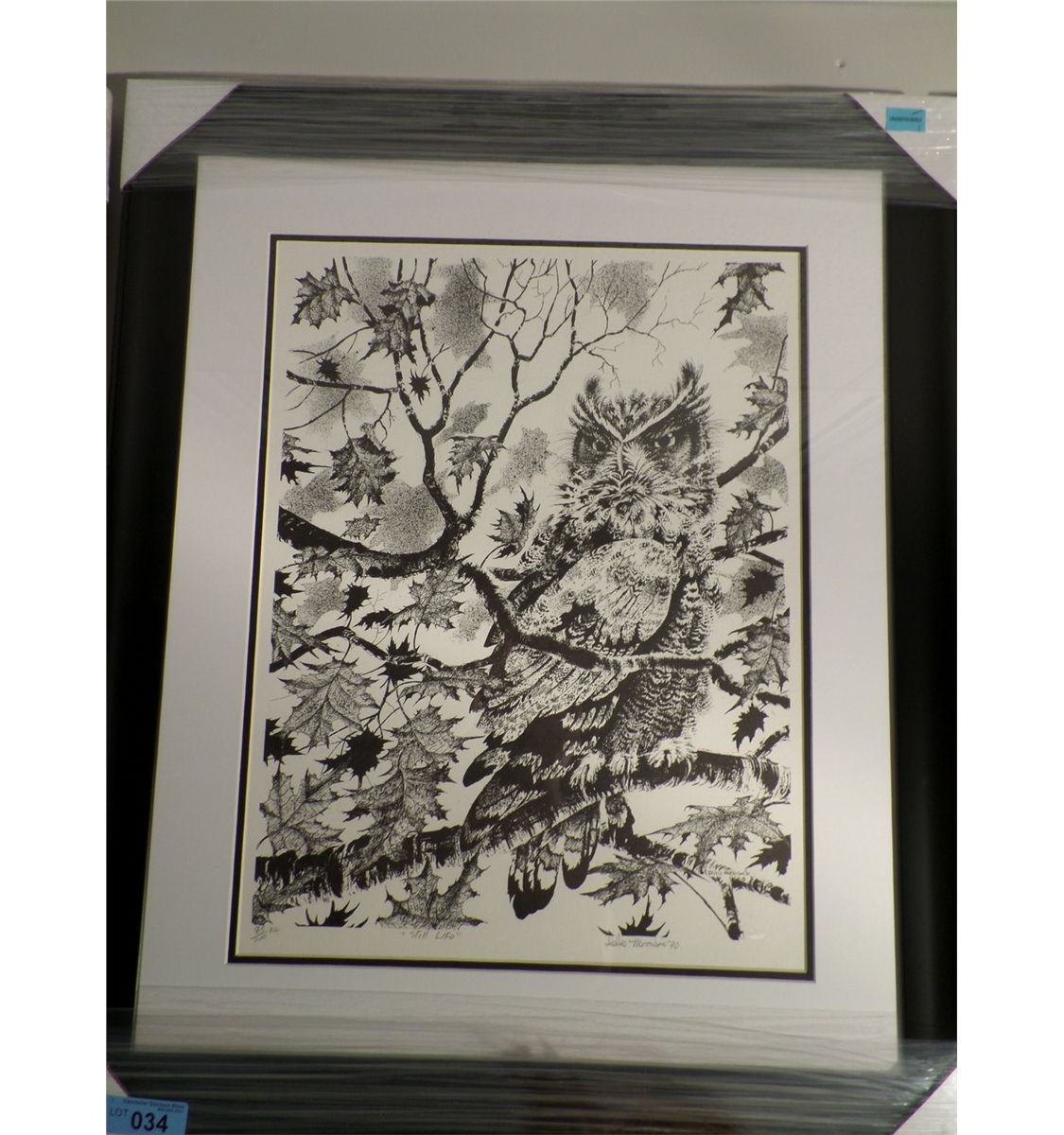 DELVIS MORRISON "STILL LIFE" 83/200 1999