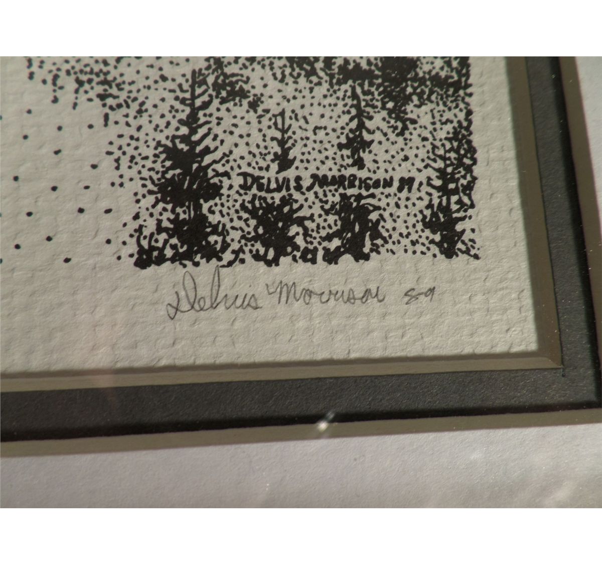 DELVIS MORRISON "POWERFUL DREAM" 72/100