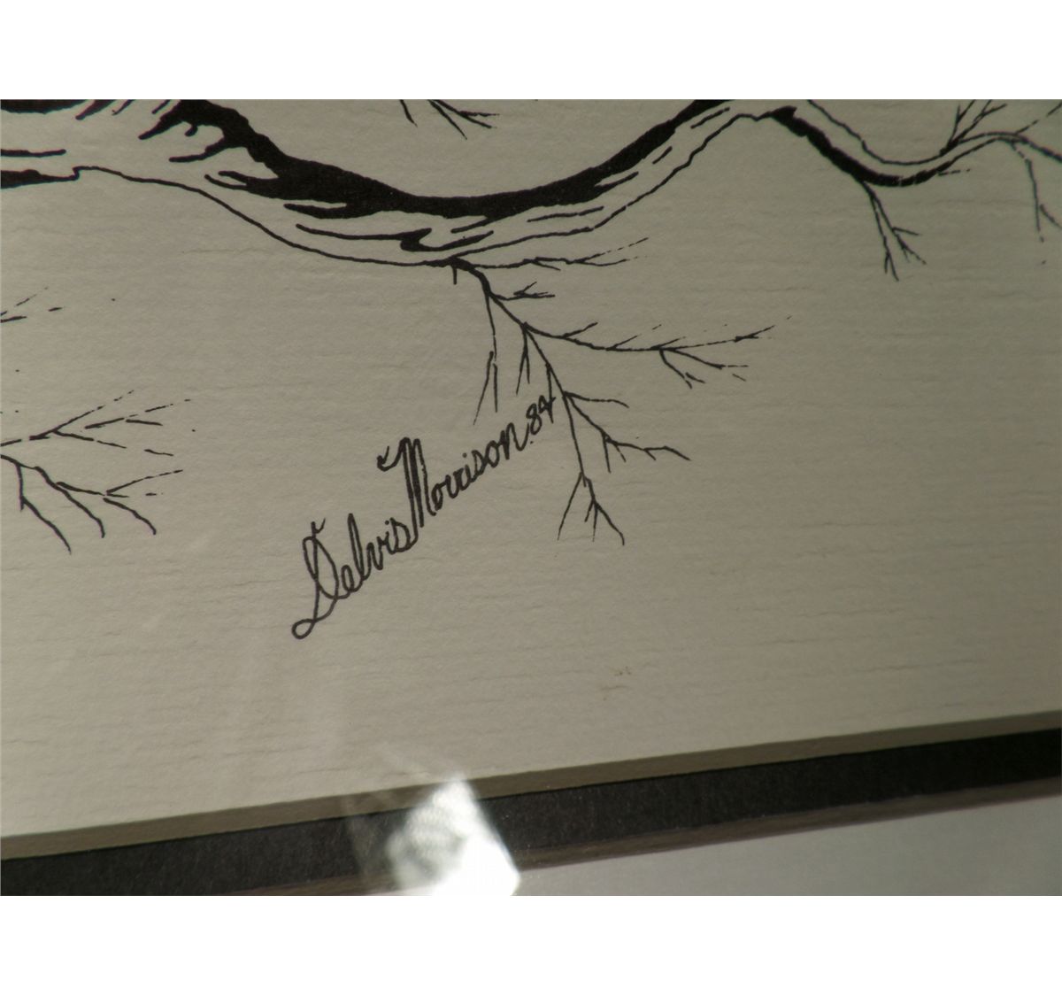 DELVIS MORRISON "NIGHT LIFE" 116/500 1984