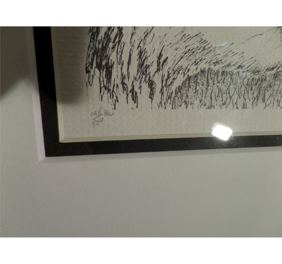 DELVIS MORRISON "SHELTER" 56/500 1991