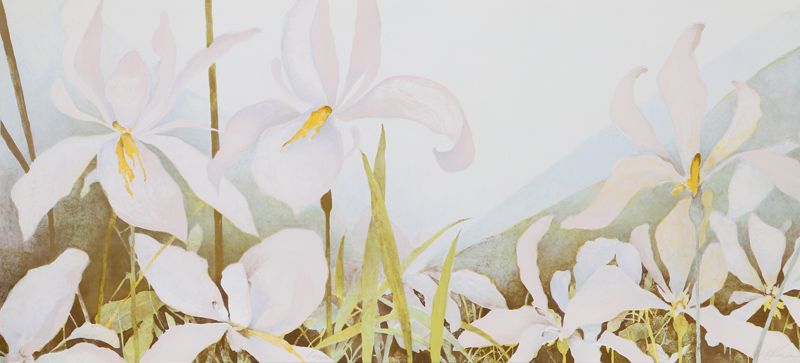 Deborah Kogan Ray, Logan Pass II, Lithograph