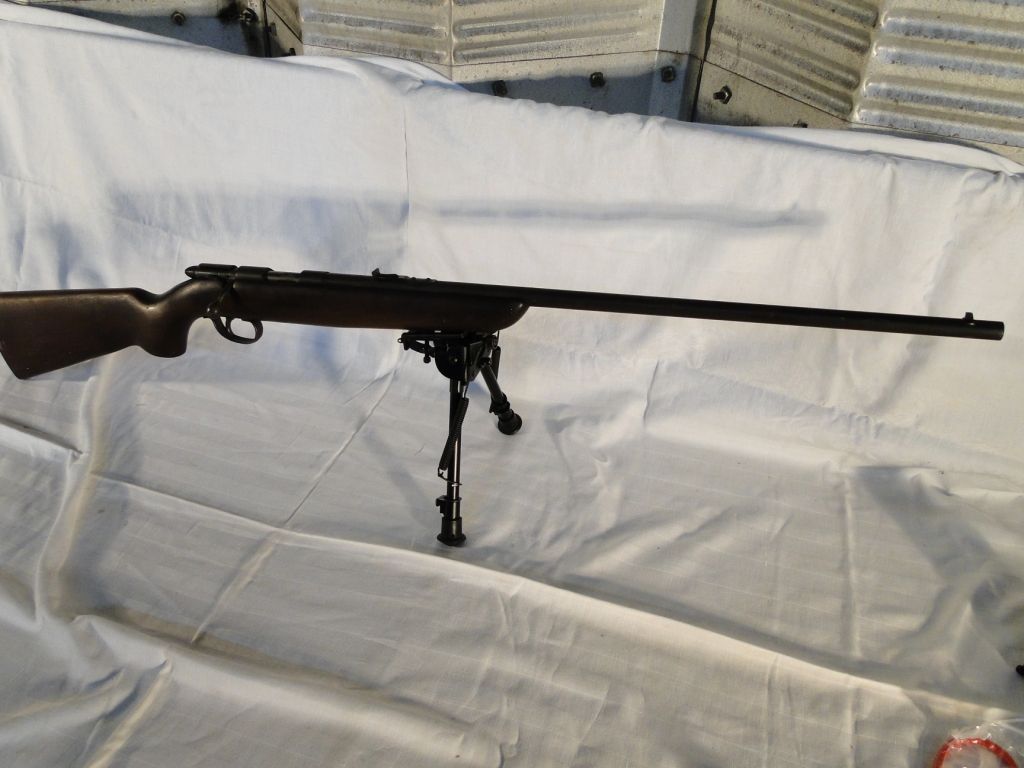 Remington Arms 22 short or LR Bolt Action