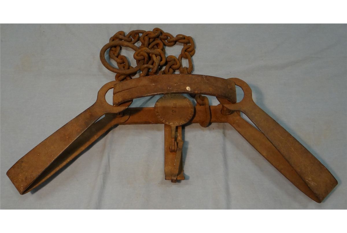 S. Newhouse #5 bear trap, chain extended, no teeth