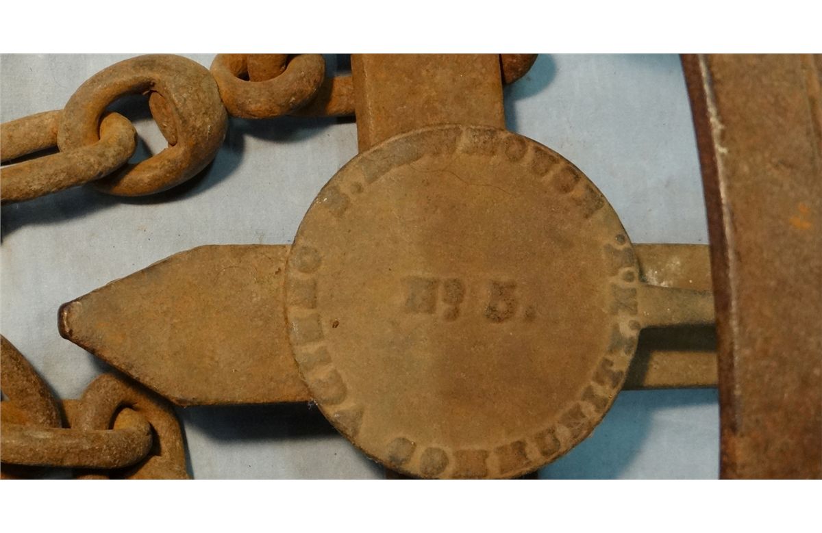 S. Newhouse #5 bear trap, chain extended, no teeth