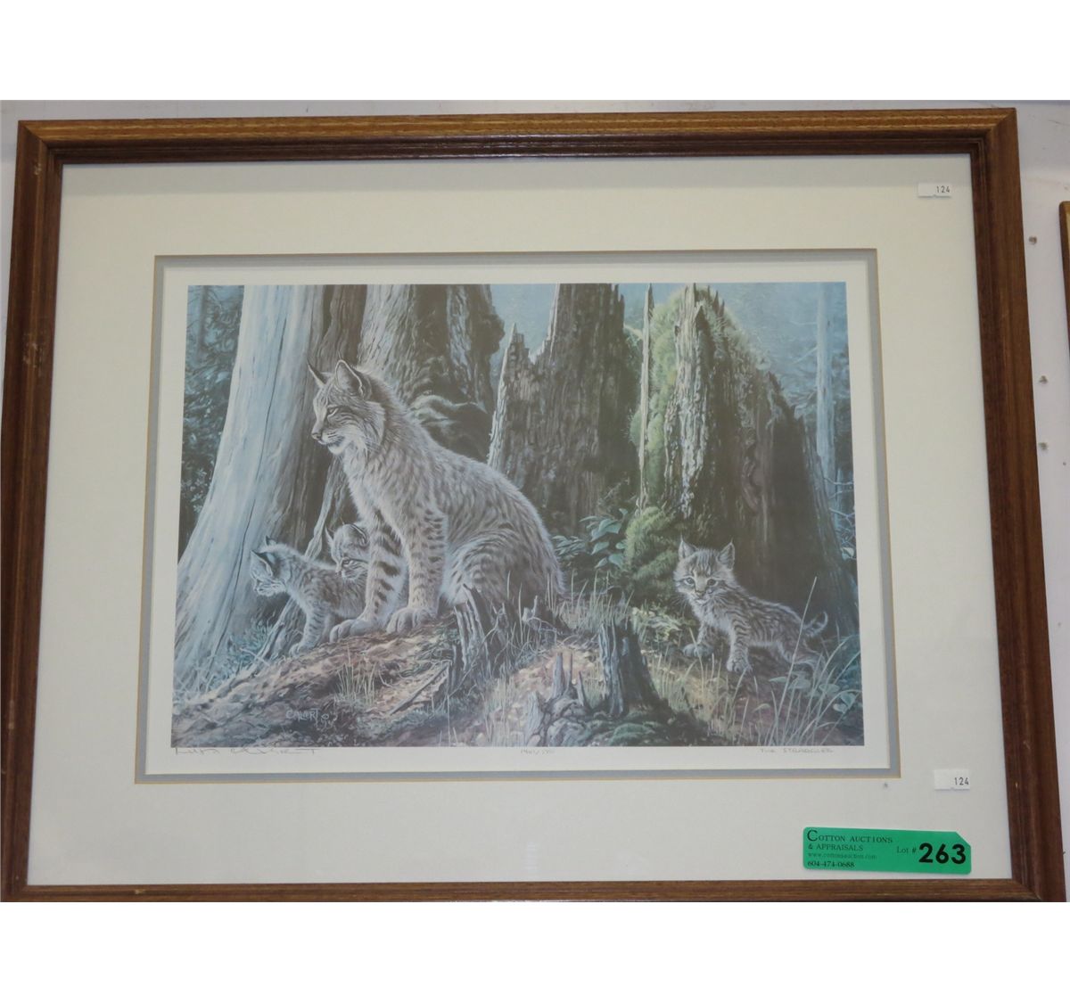 Signed Limited Edition Calvert print - Bobcats