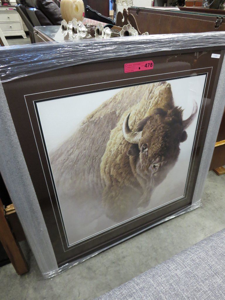 Framed print "Chief Bison" by Robert Bateman