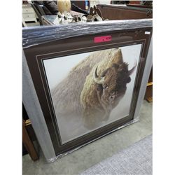 Framed print "Chief Bison" by Robert Bateman