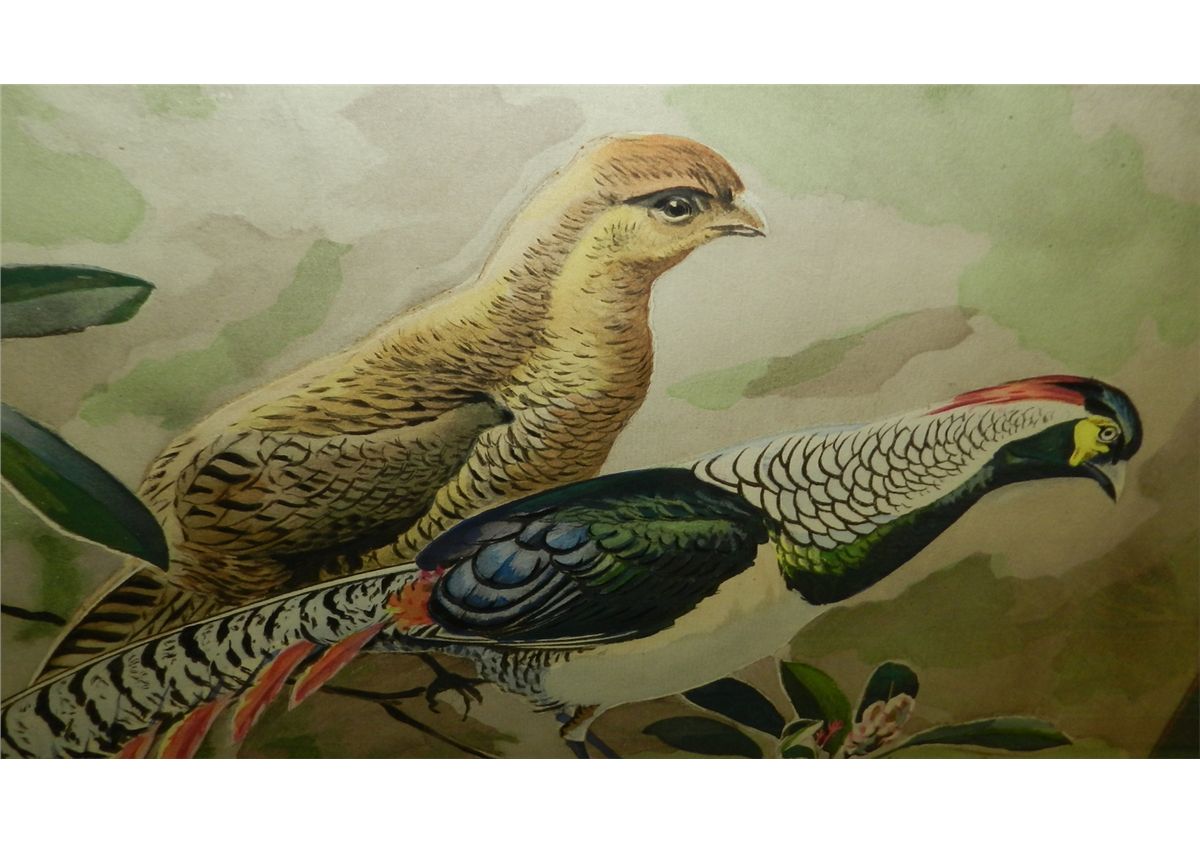 Lovely original framed watercolor? by Conrad Roland, depicting a pair ...