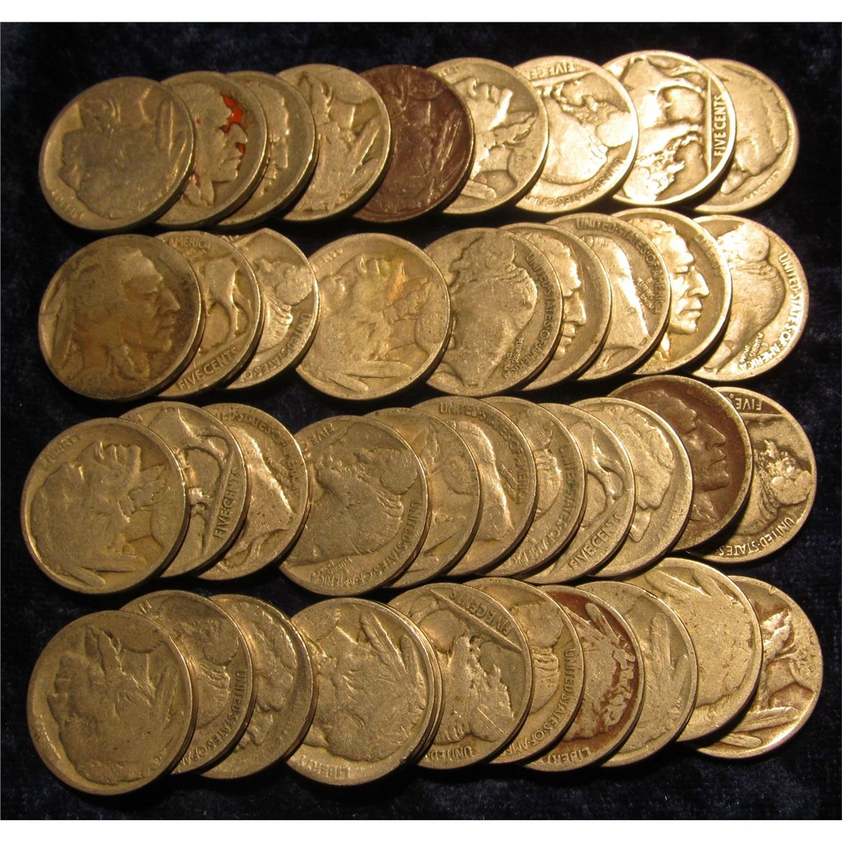 975. Plastic Tube containing (40) Old Buffalo Nickels.