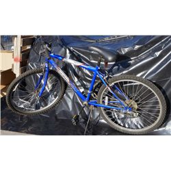 Blue and silver Roadmaster mountain bike