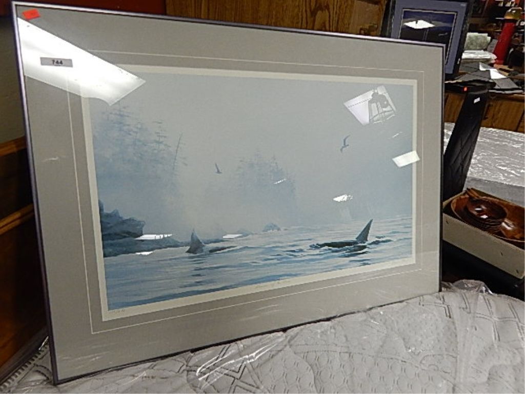 FRAMED LIMITED EDITION PRINT - BY BRUCE MUIR - DOMAIN ORCA - GALLERY APPROX