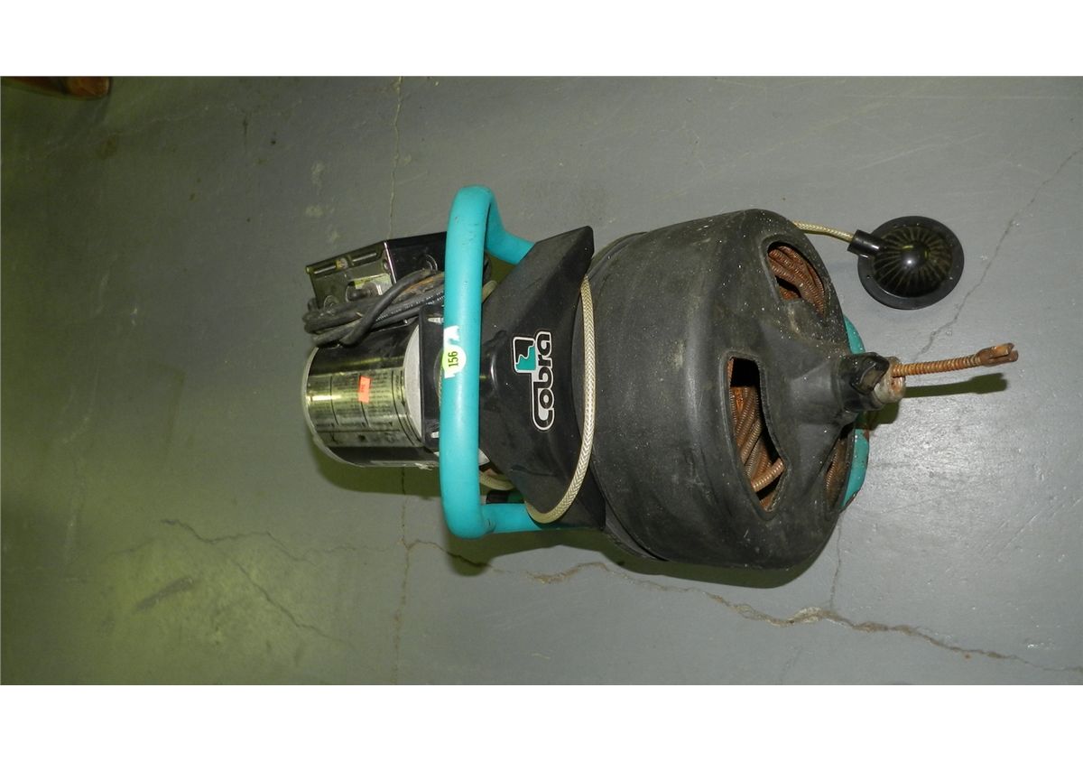 Cobra power snake, electric,