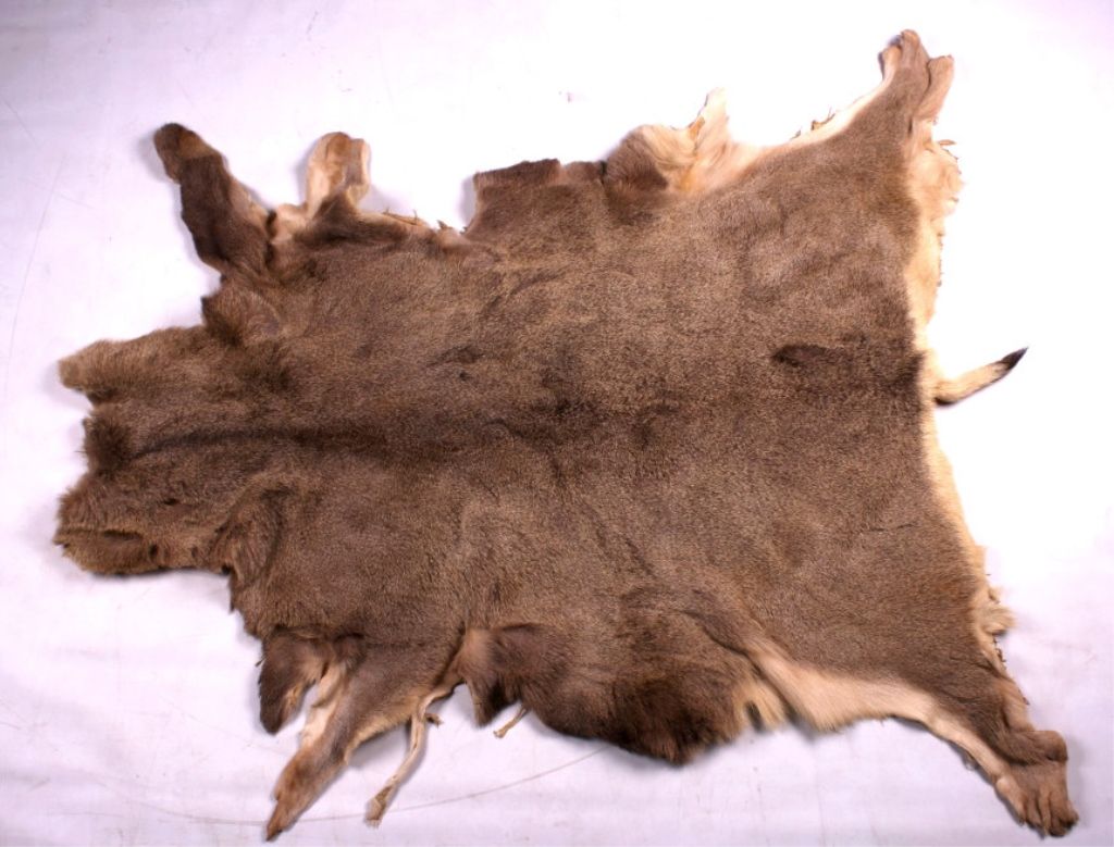Tanned Montana Mule Deer Hide This is a tanned Mon